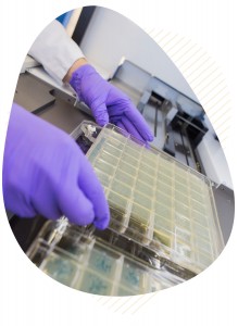 Toulouse White Biotechnology - Toulouse White Biotechnology