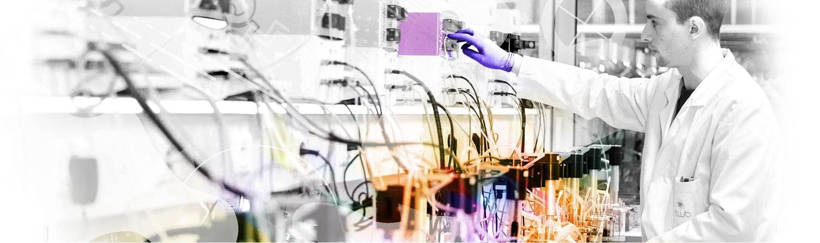 Toulouse White Biotechnology