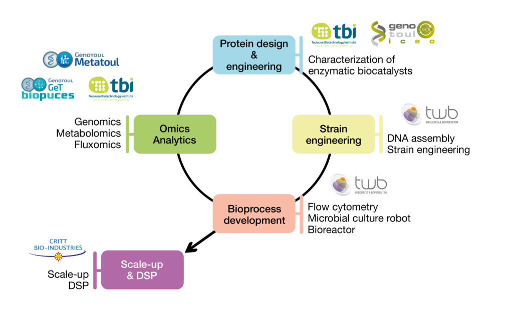 TIBH - Toulouse White Biotechnology