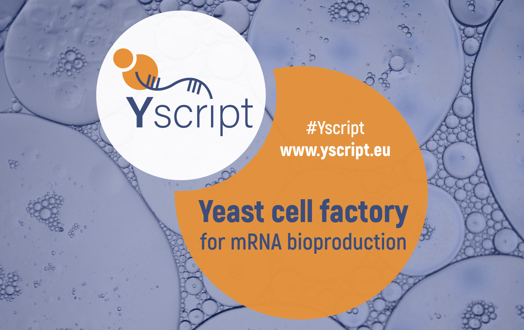 Engineering yeast for mRNA production: TWB is partner of the european ...